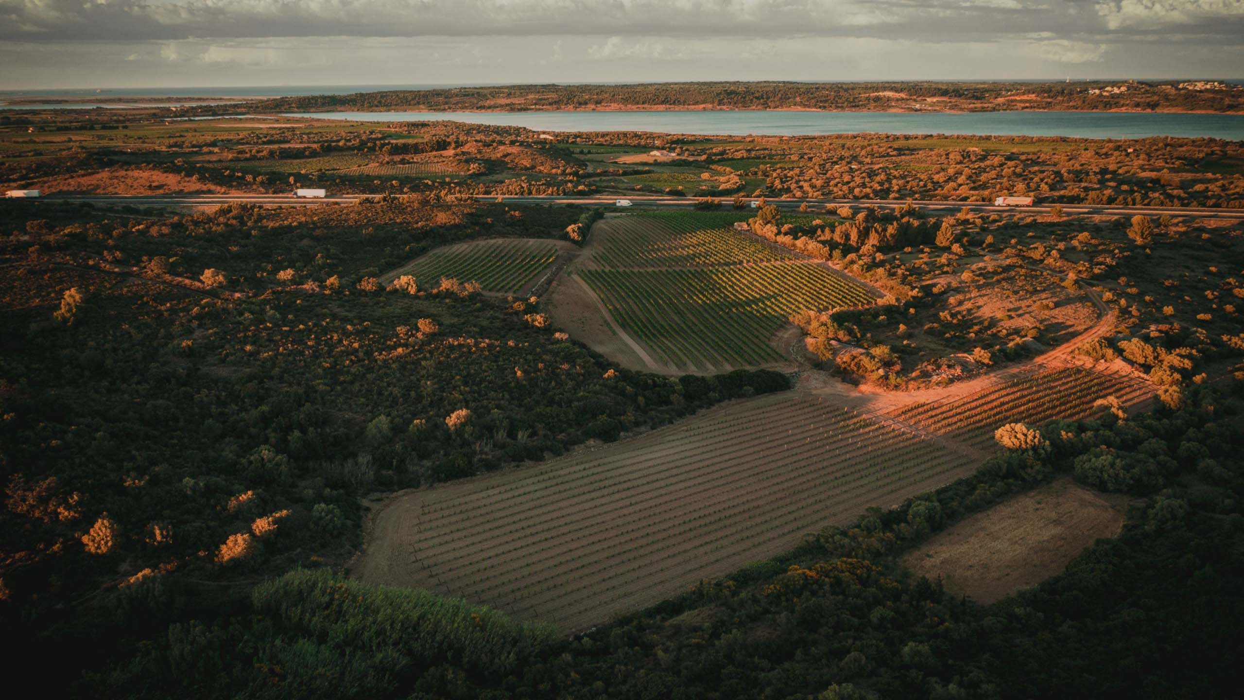 Domaine de la Rochelierre, Fitou